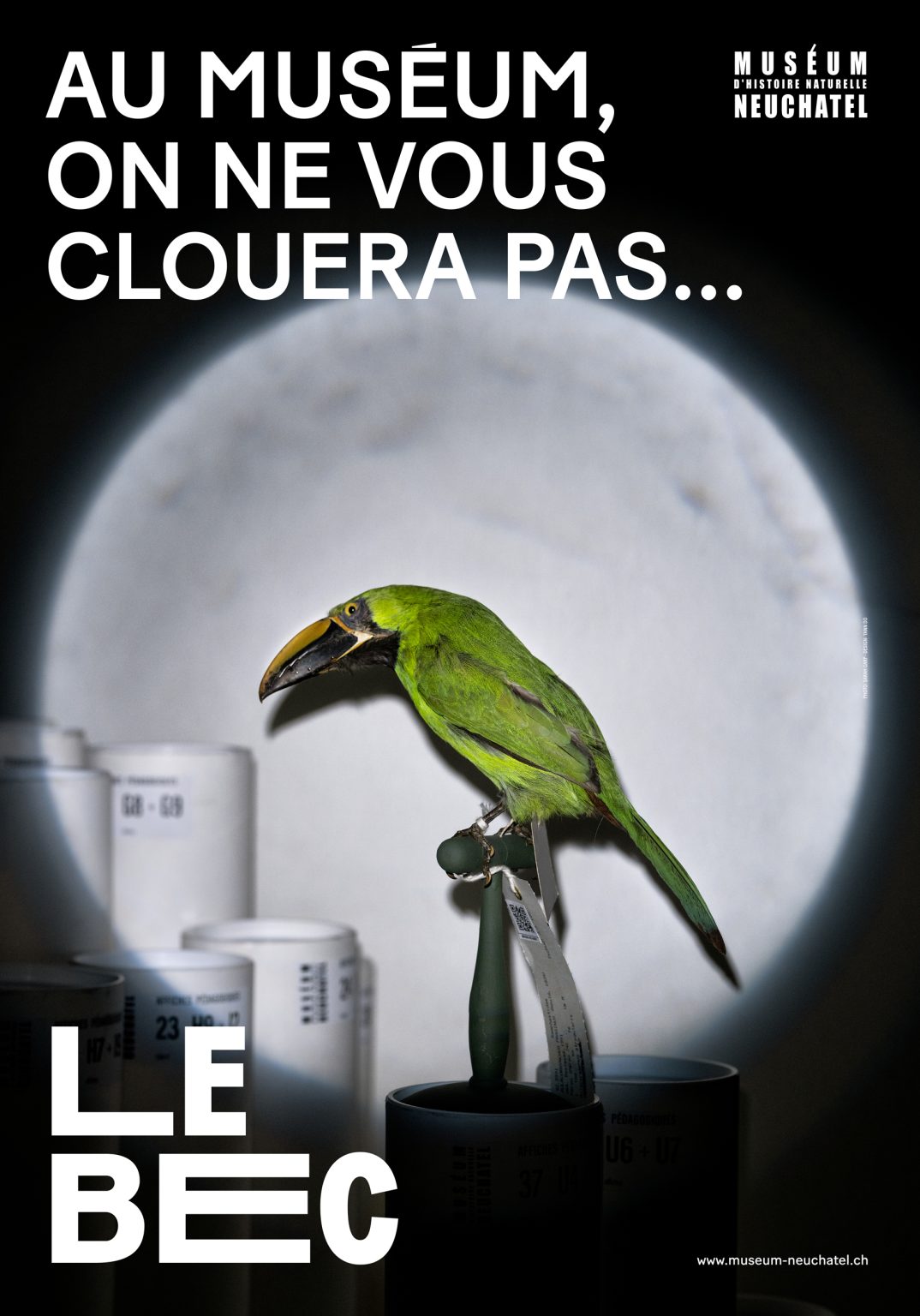 Accueil - Muséum d'Histoire Naturelle de Neuchâtel