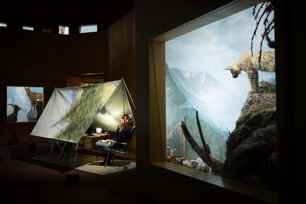 Accueil - Muséum d'Histoire Naturelle de Neuchâtel